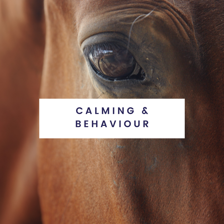 Equine America Usa Equine Supplements And External Care Products